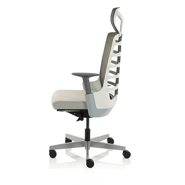 Smart2Ergo | Exo Multi-Flex Posture Chair | The Sit- Stand Specialist